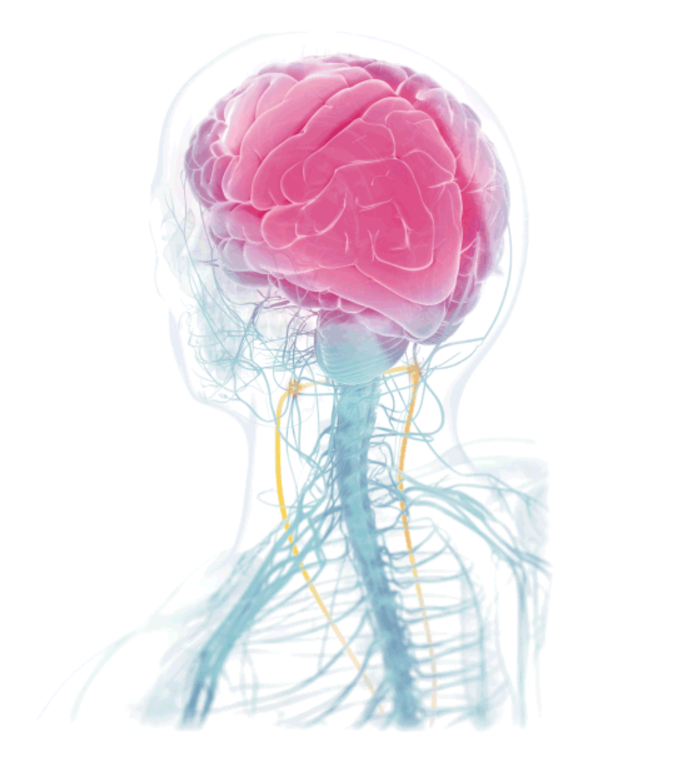 Devices | gammaCore™ Sapphire Device | Byond Healthcare